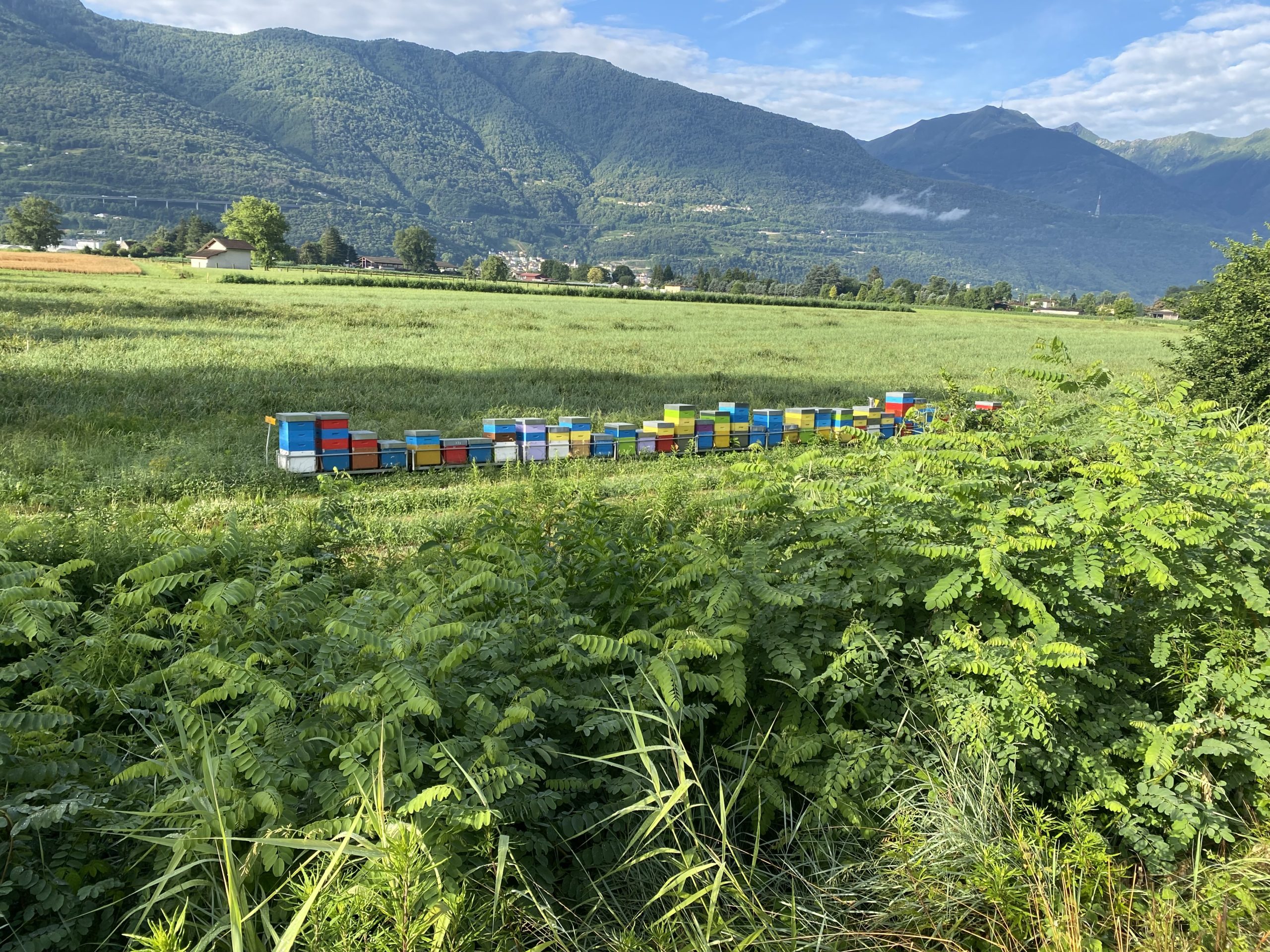 prova photo gallery – Via Francisca